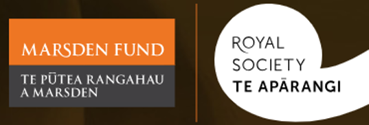 Who We Are – Exploring Fijian Health System Resilience